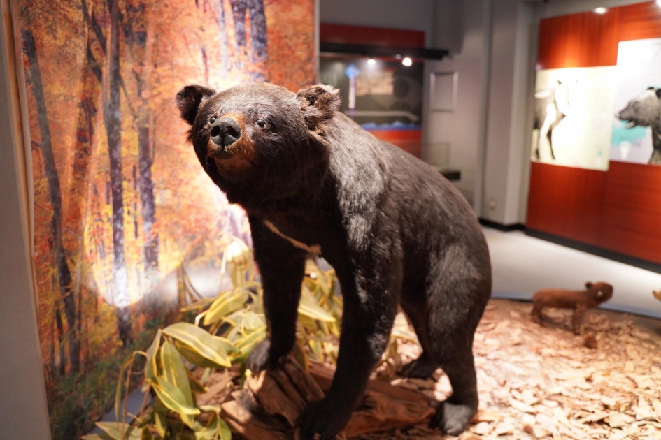 【北秋田市】マタギイズムの継承ツアーseason3 | あきコネ-あきた関係人口会議Webサイト